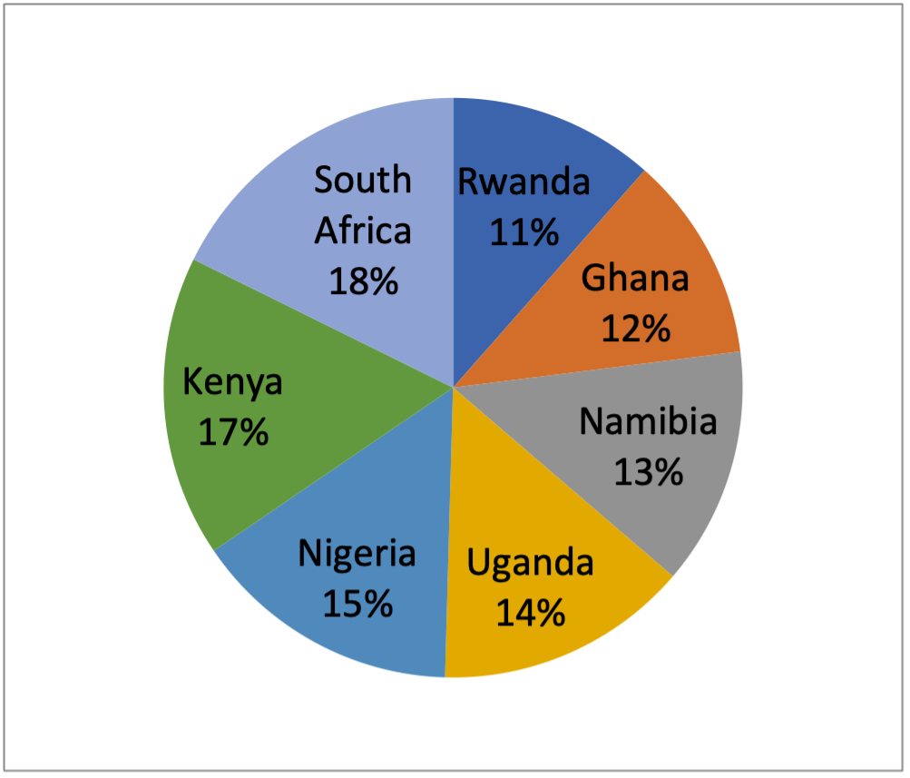 SDG Investor Maps in Africa: Investment Opportunity Insights | Private Finance for the SDGs